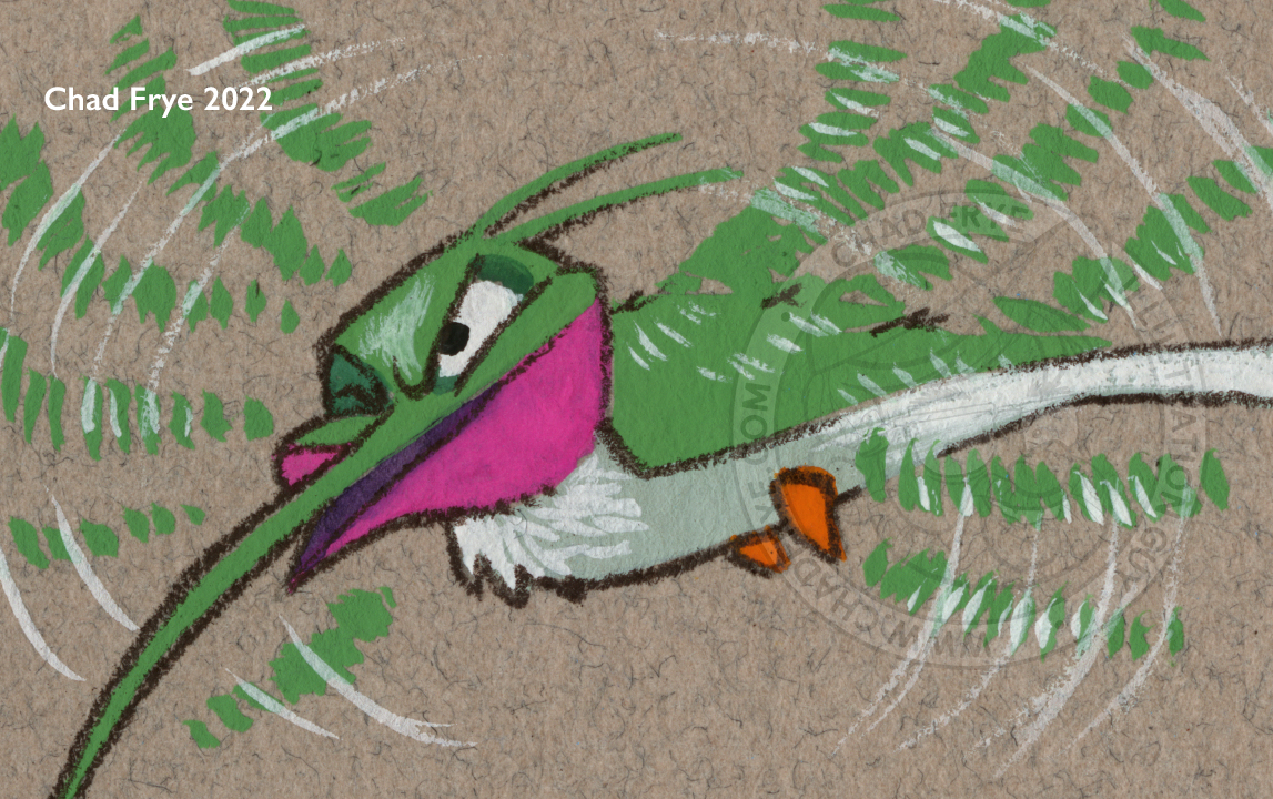 Illustration – The Chad Frye – Illustration Guy